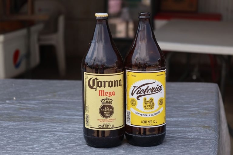 🍺 The 7 Best Mexican Beers 🏆