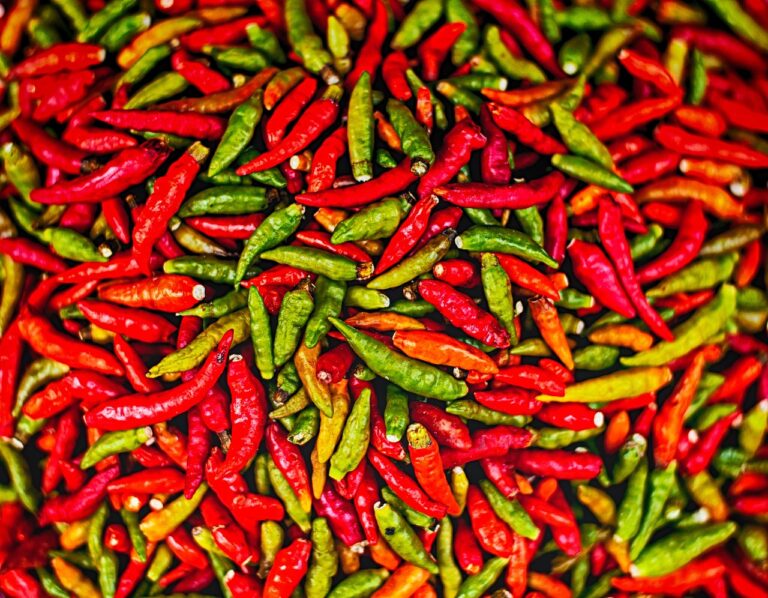 🌶️ Los 8 Chiles Más Picantes del Mundo ♨️